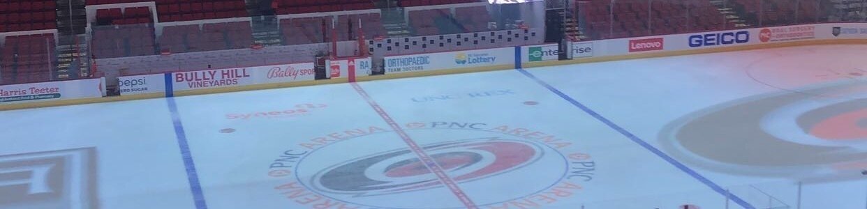 Petition · Let Nathan go to a Hurricanes game by himself because no one ...