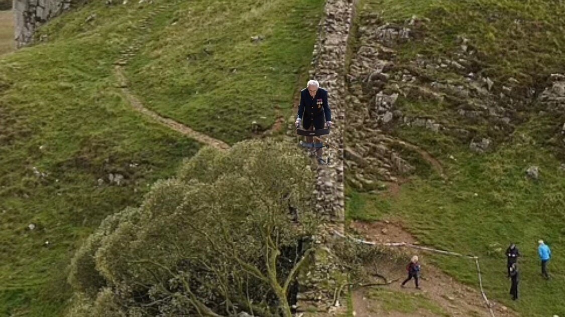 Petition · Petition to demand the Government to punish captain Tom for ...