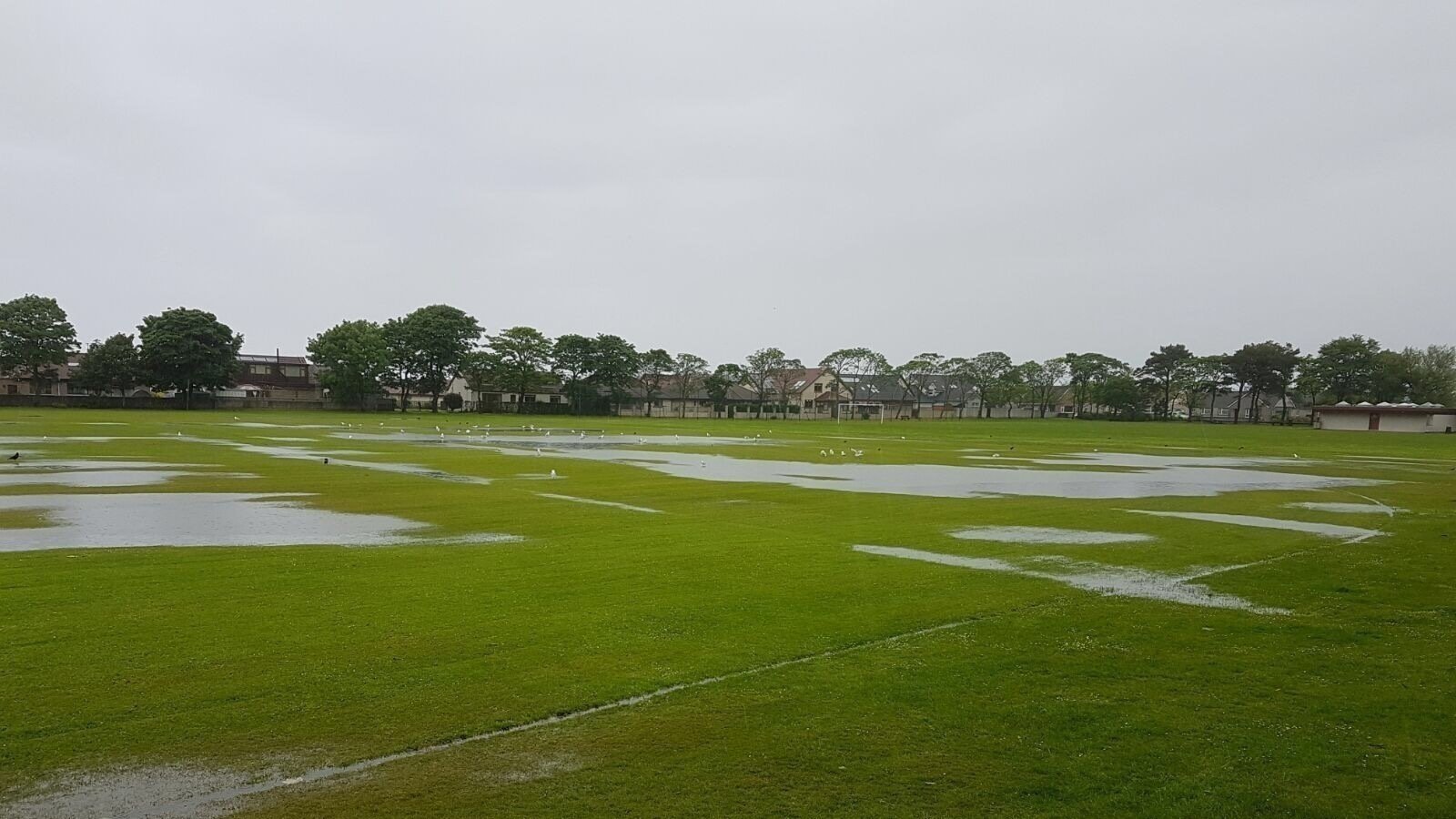 Petition · Rectify Linzee Gordon Park Playing Fields Drainage Issues ...