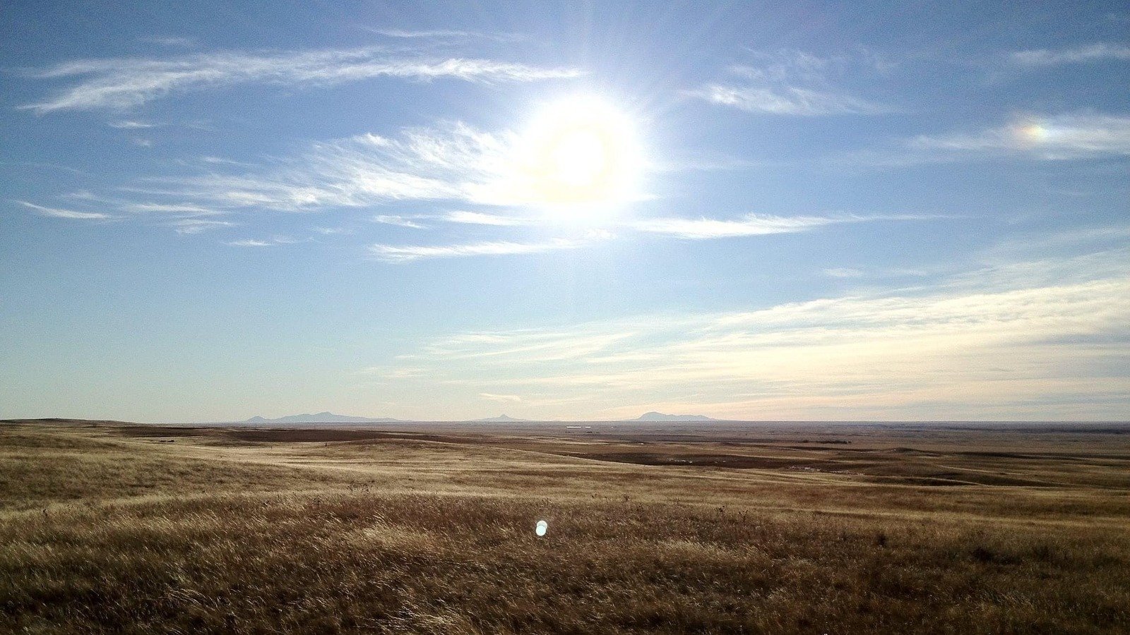 Petition · Alberta Mammals, Birds and Grasslands Threatened by Aira ...