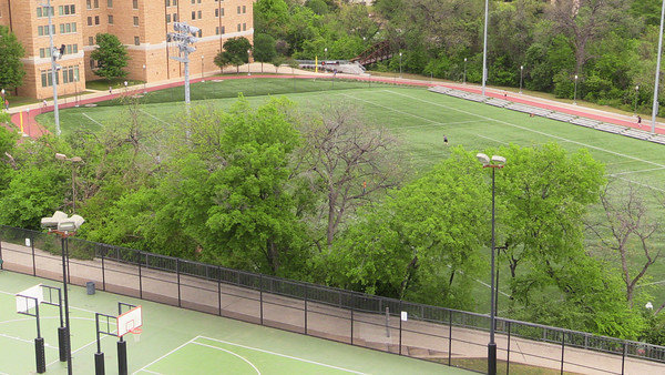 Petition · Level and Standardize the Running Track at Clark Field ...