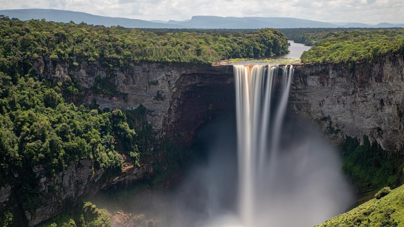 Petition · Save the Guianan Rainforest - United Kingdom · Change.org