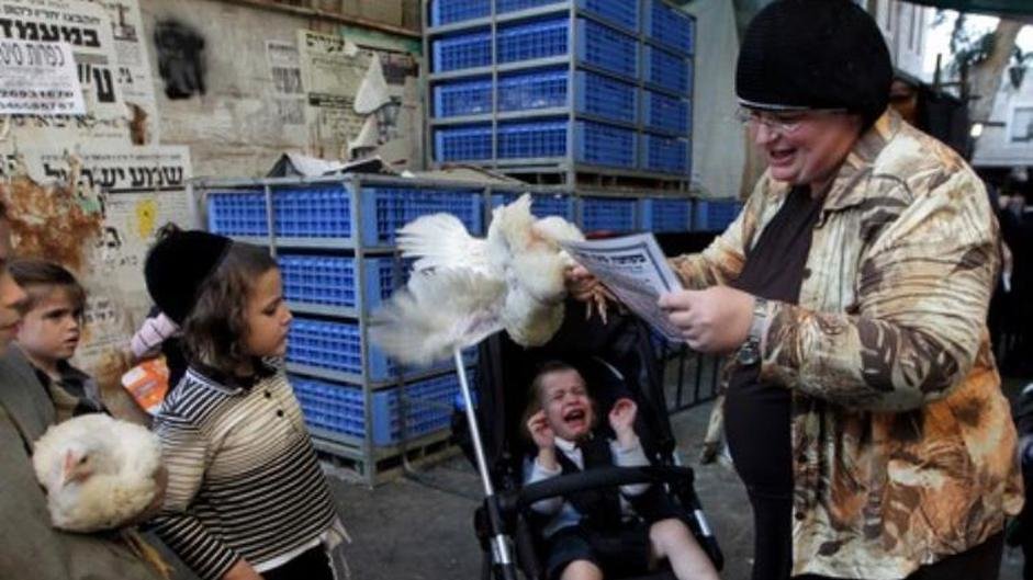 Petition · End Kapparot animal abuse and health code violations ...