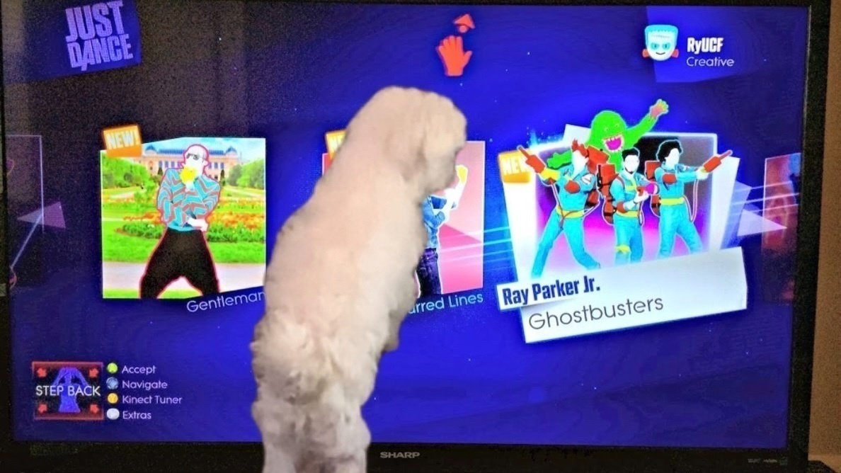 Petition · let scruff play just dance with me - United States · Change.org