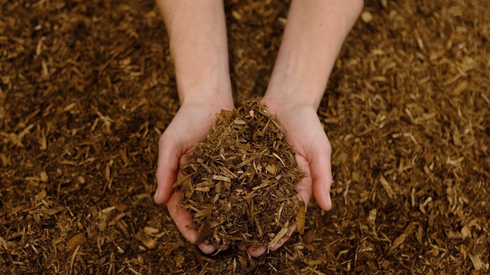 Petition · Legalize human composting in Virginia-a sustainable way of ...