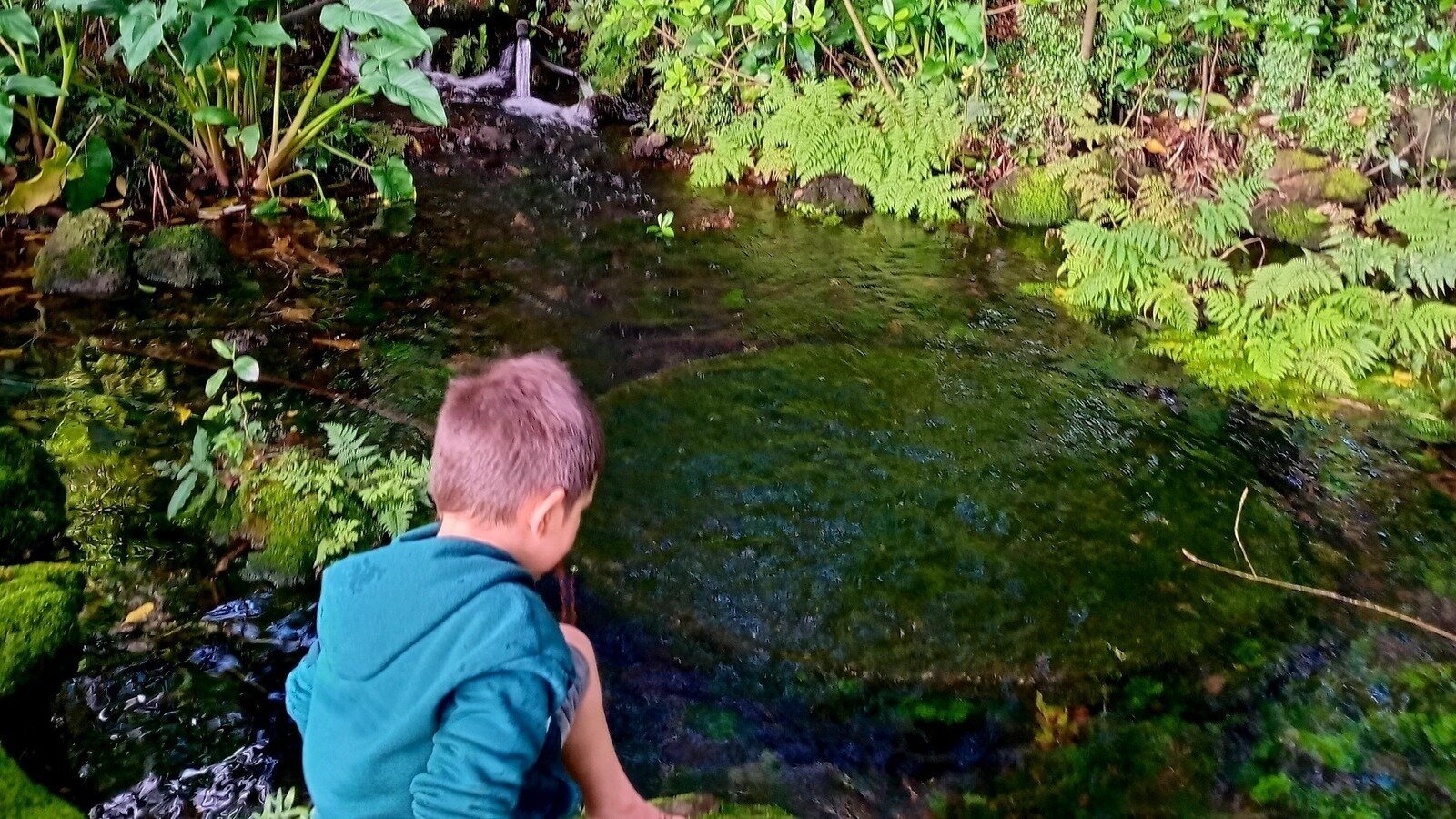 Petition · Oppose APP . 040907 . 01 . 08 and help protect Te Maata ...