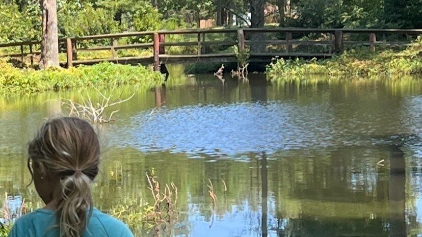 Petition update · This is No April Fools Day Joke. Lake Conrad is NOT ...