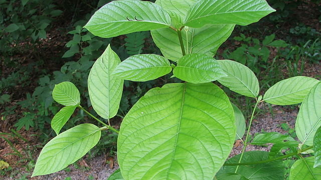 Petition · Please Reconsider Passing HB19 - United States · Change.org