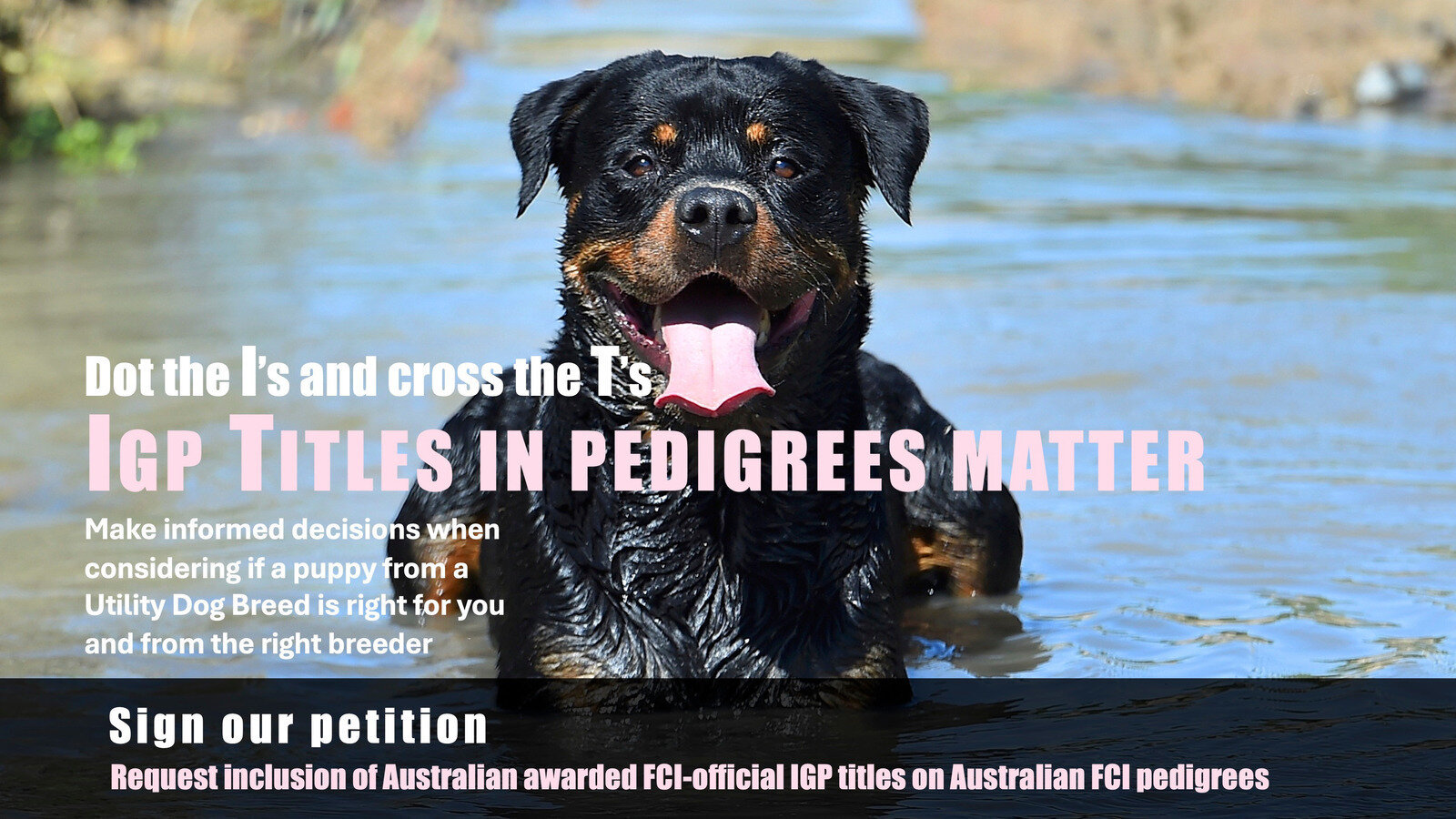 Petition · Do you think Australian awarded IGP titles should be ...