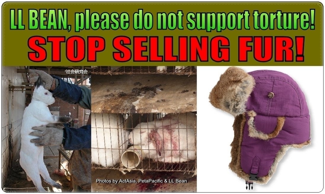 Petition · Please stop selling real fur! - United States · Change.org