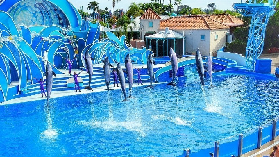 Petition · Set Seaworld Animals Free! - United Kingdom · Change.org