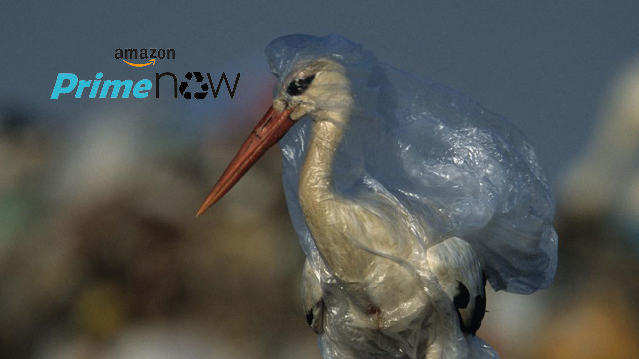 Petition · Reduce, Reuse, Reverse Amazon Prime Now Recycling Program ...