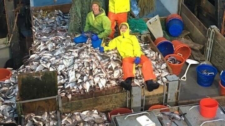 Petition · Ban Inhumane Slaughter Practices in the Fishing Industry ...