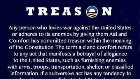 Petition · Investigation of traitorous Behavior - United States ...