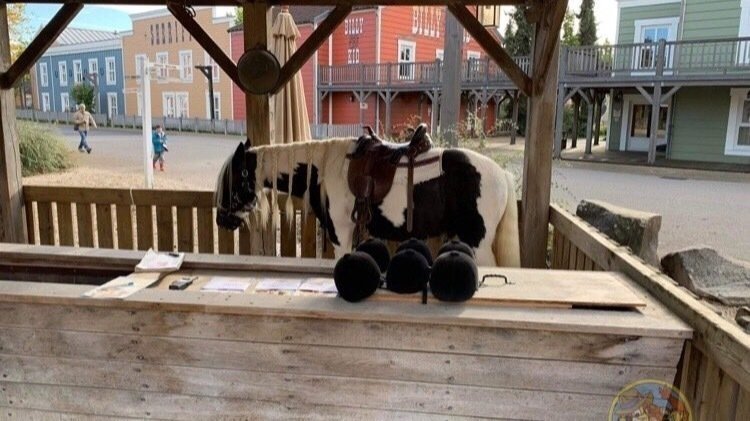 Pétition · Non aux Poney à l’hôtel Cheyenne à Disneyland Paris - France ...