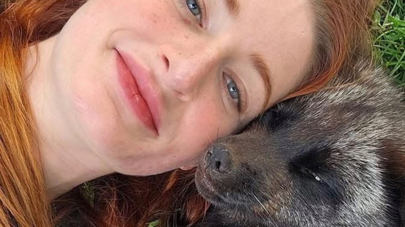 Petition update · Issues such as this are why this petition are so ...