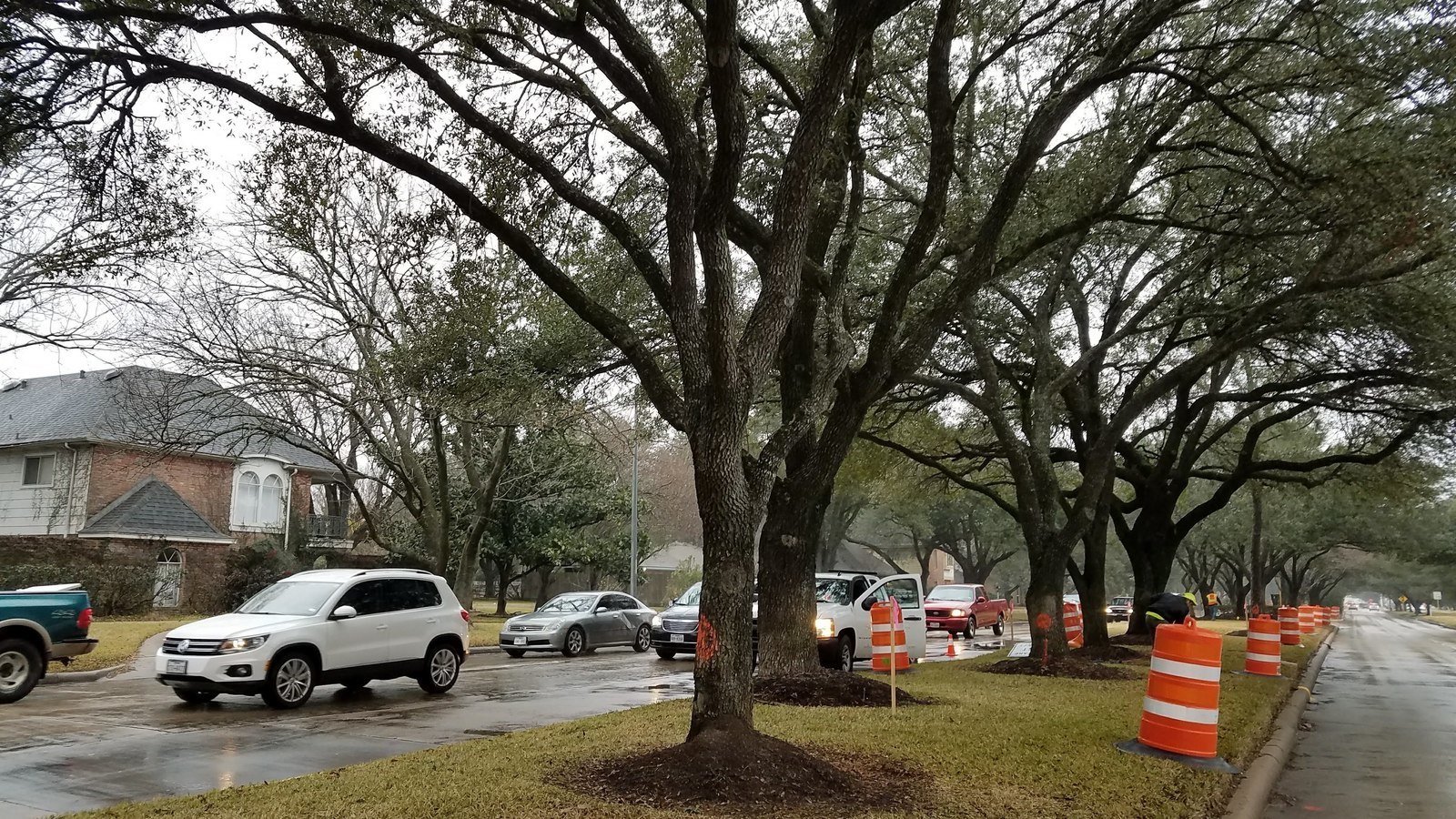 Petition · Save the Nottingham Oaks & Stop Traffic Expansion at Fry ...