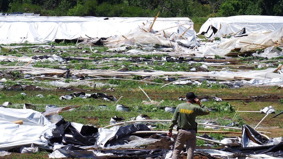 Petition · REGULATE MARIJUANA IN YAMHILL COUNTY: PROTECT THE ...