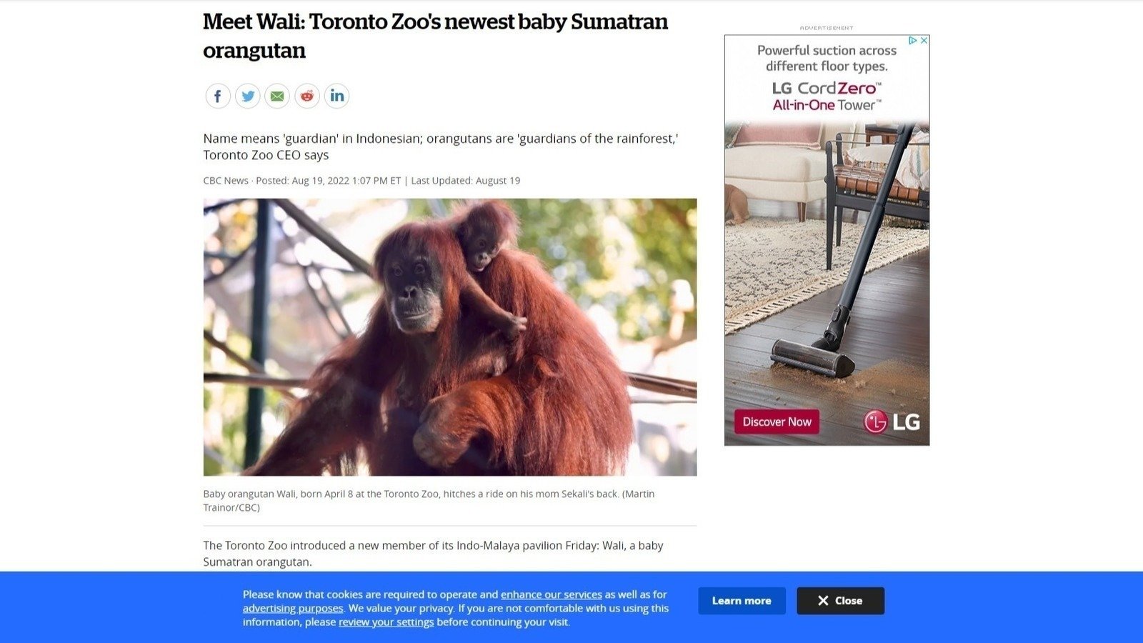 Petition · Monkey in Toronto Zoo named as "WALI" - Canada · Change.org