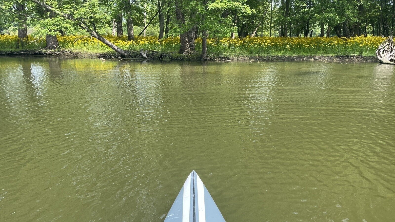 Petition update · Update from Rob Cheney - Allow SUP in Cook County ...