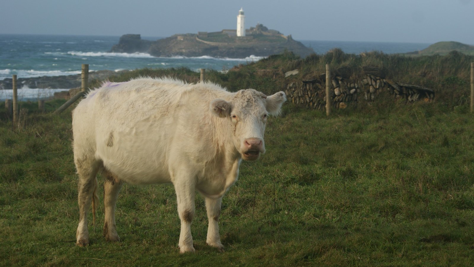 Petition update · Contiguous landscape · Change.org · Change.org