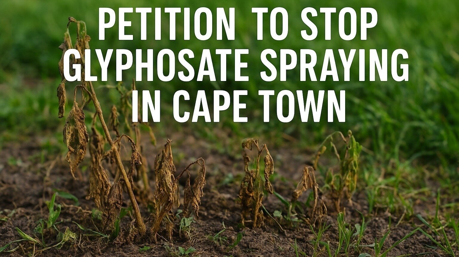 Petition · Petition to Stop Glyphosate Spraying in Cape Town - Cape ...