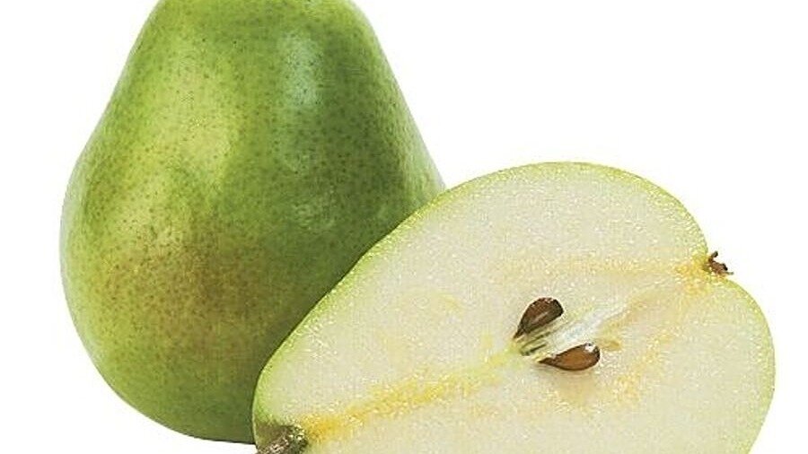 Petition · Change Pear to "Peer" - India · Change.org