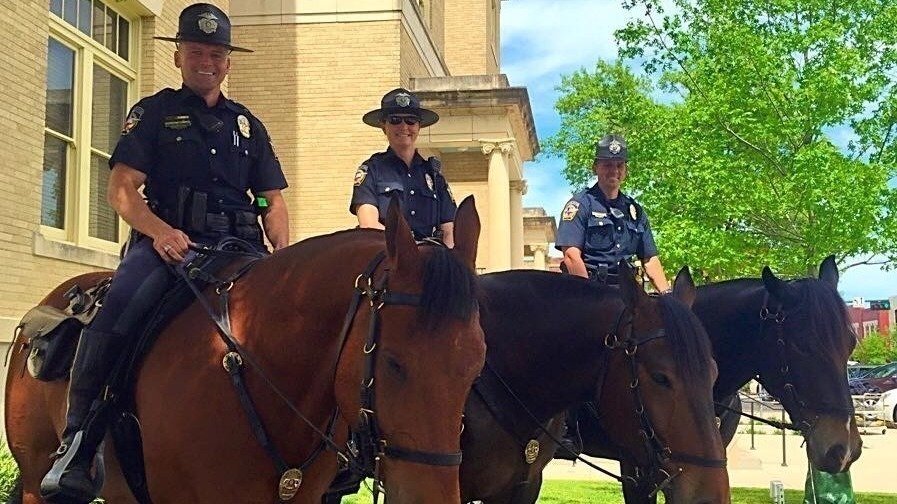 Petition · Continue to fund the McKinney Police Mounted Unit as a full ...