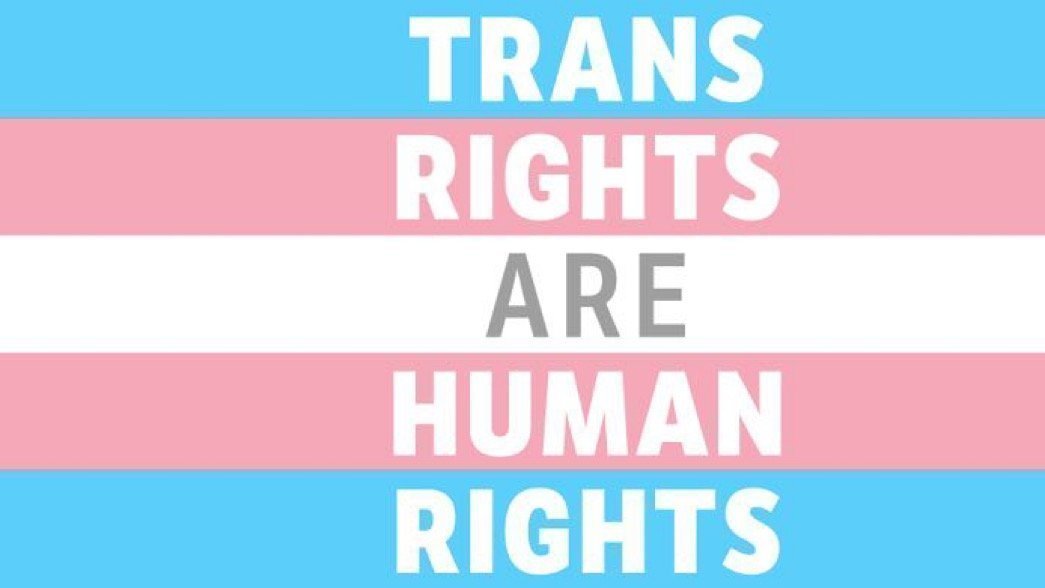 Petition · Respect trans rights at Hammond Park Secondary College ...