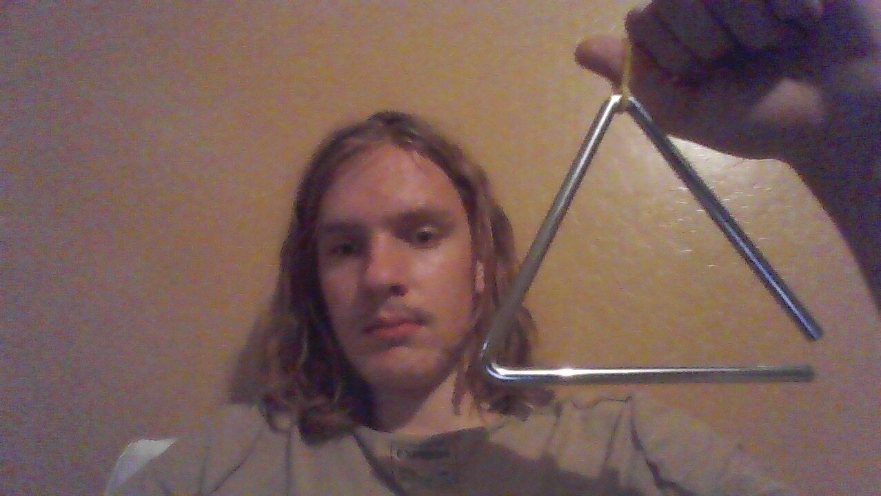 Petition · triangle section added to dessert edge band. - United States ...