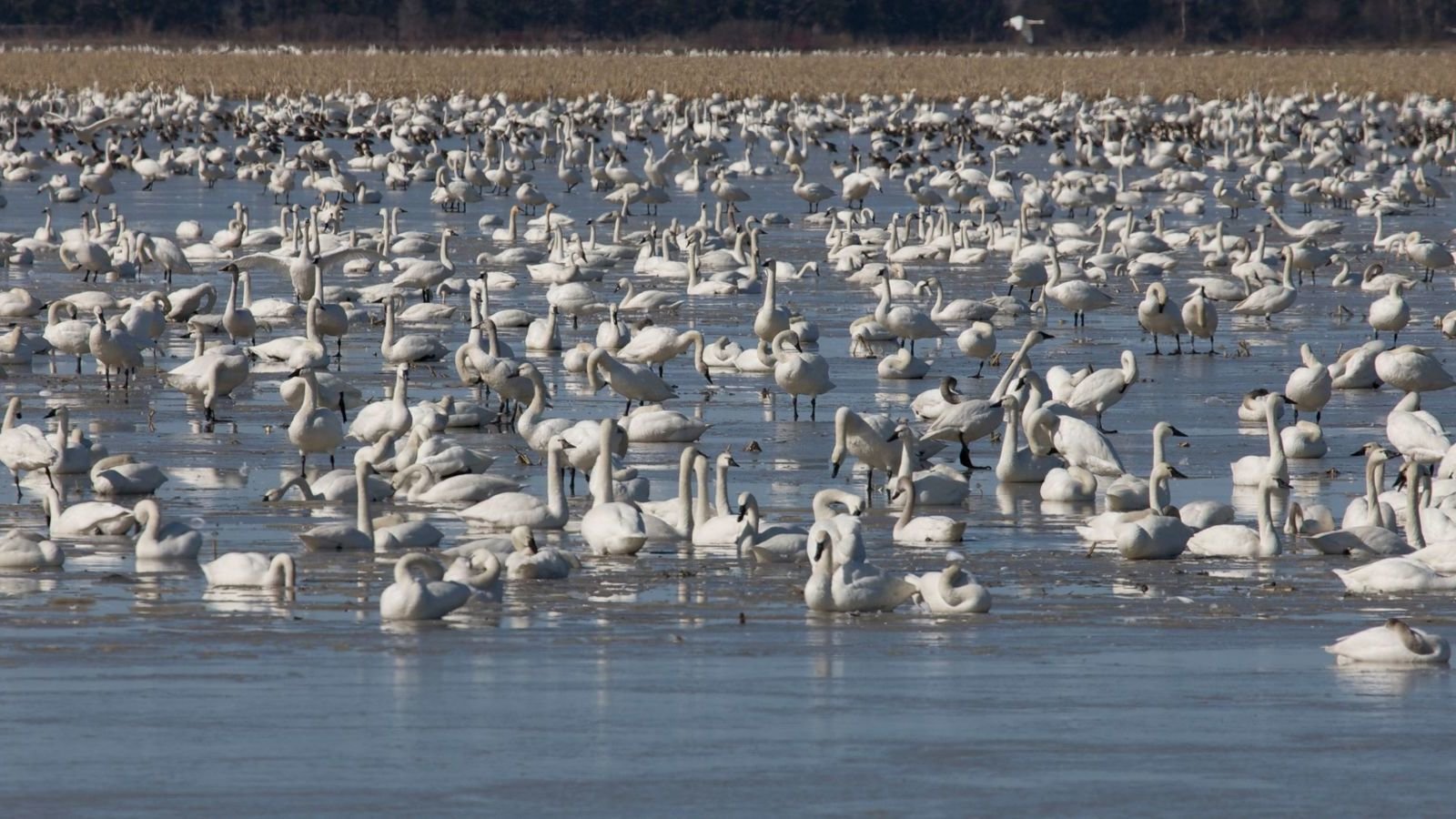 Petition · The Honourable Kathleen Wynne, Premier of Ontario: Stop ...