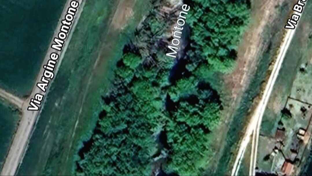 Petizione · Pulire il fiume Montone e proteggere il territorio - Italia ...