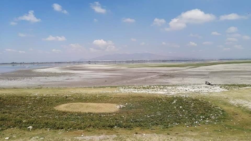 Petición · Ayúdanos a conservar la Laguna de Zumpango, EDOMEX. - México ...