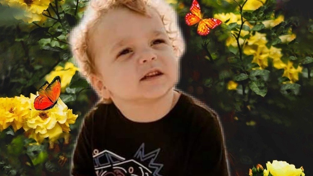 Petition · No Plea Deal for Child Killer Alan Morgan - United States ...