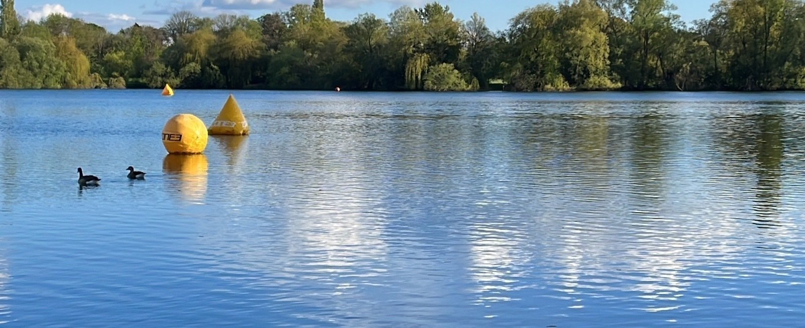 Petition · Prevent the River Thames Scheme from flowing into Shepperton ...