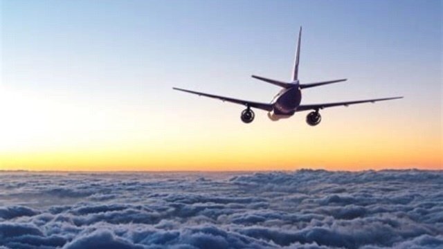 Petition · MIA IPD CREW - United States · Change.org