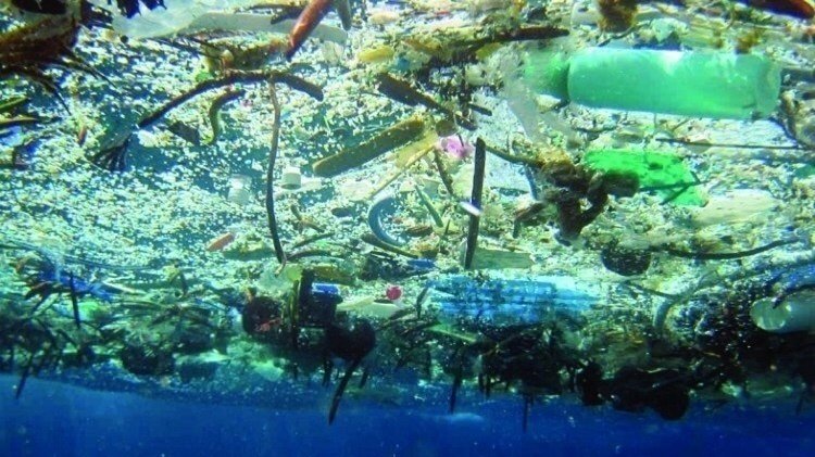 Petition · Treat ocean plastic waste with the seriousness of oil spills ...