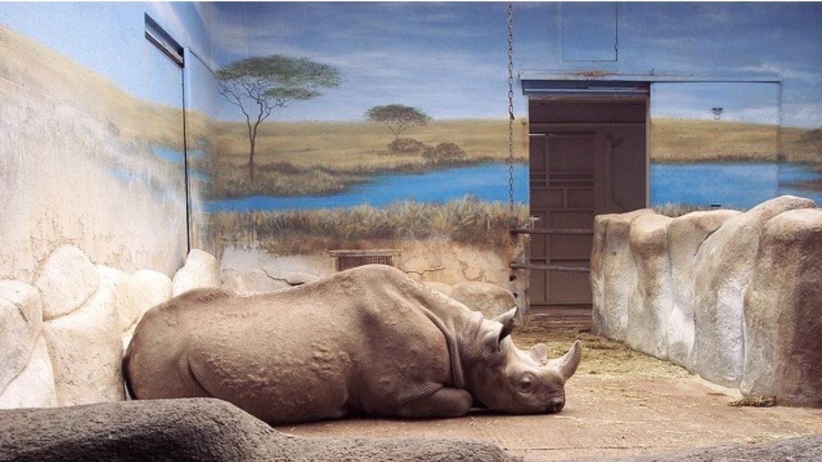 Petition · ZOOS ABUSE - United States · Change.org