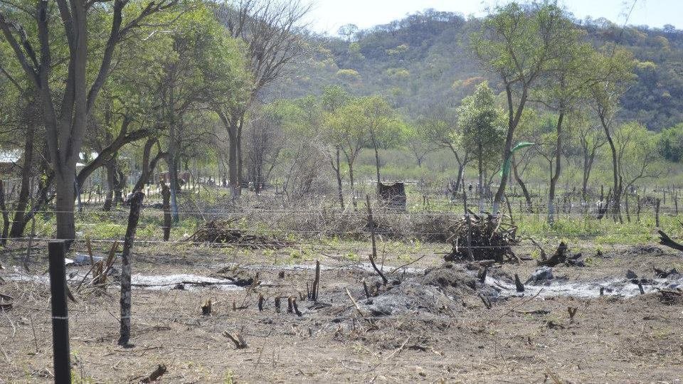 Petición · Que se proteja a la naturaleza, deslogen a las persona que ...