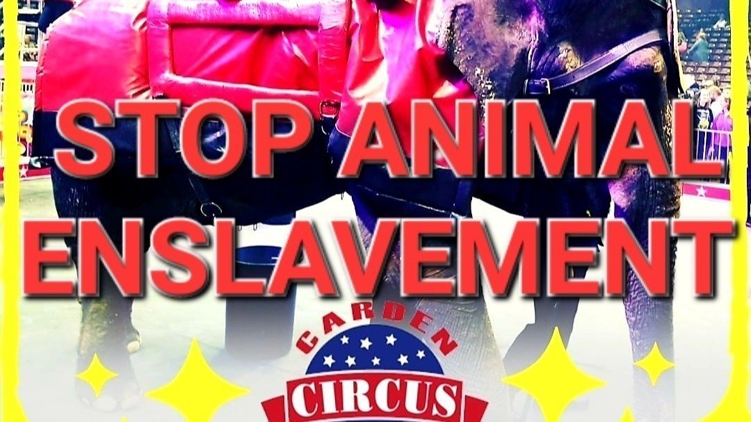 Petition update · Thank you for supporting animal rights! · Change.org ...