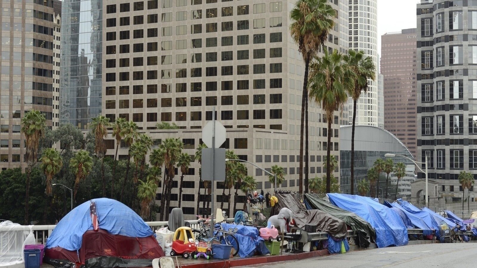 Petition · Provide Support for Homeless People to Rebuild Their Lives ...