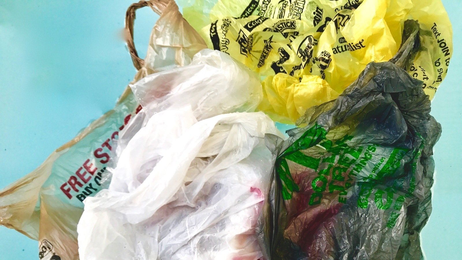 Petition · Ban plastic bags in St. Augustine! - United States · Change.org