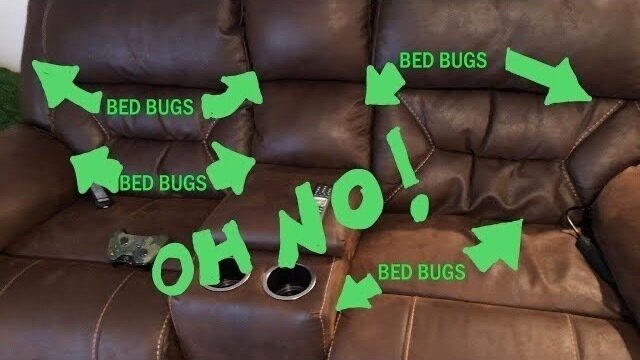 Petition · Mandate Clear Guidelines for Handling Bed Bug Infestations ...