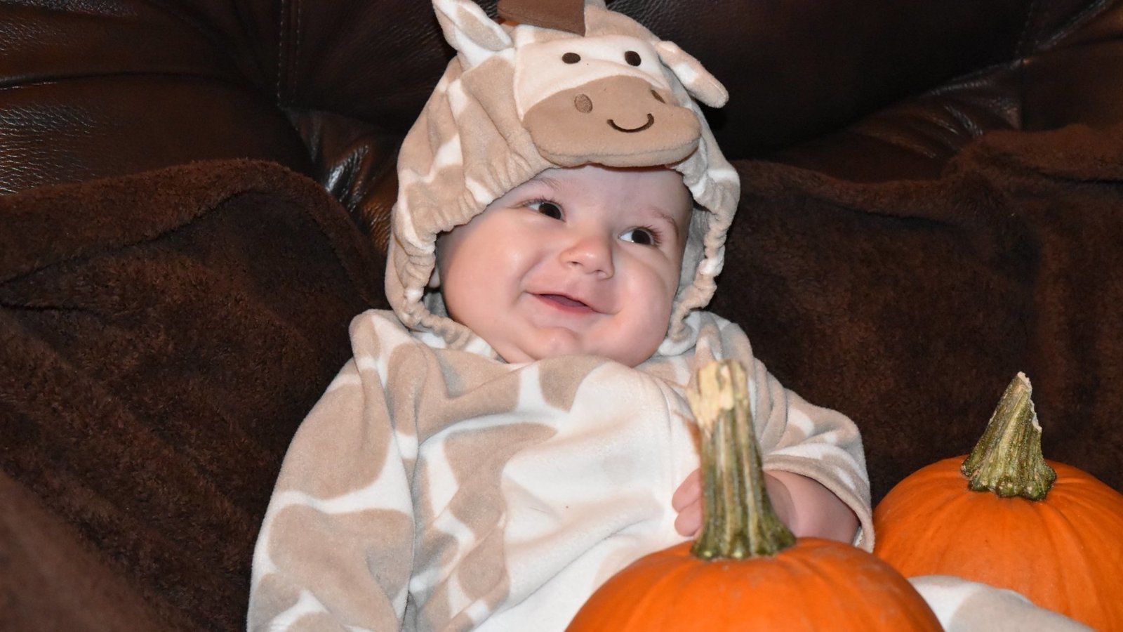 Petition · Government Funding For SUDC (sudden unexpected death in ...