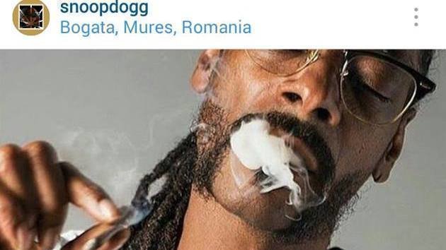 Petition · Get Snoop Dogg to Visit Bogata, Romania - Romania · Change.org