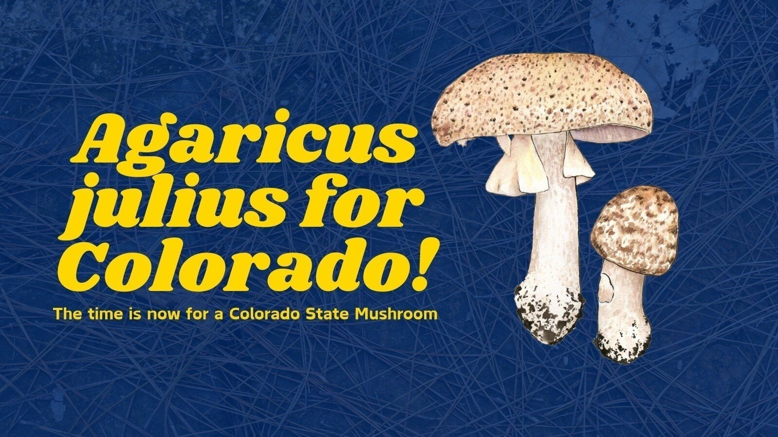 Petition · Agaricus julius for Colorado State Mushroom! - United States ...
