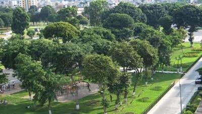 Petición · Mini bosques urbanos en el centro de Guadalajara - México ...