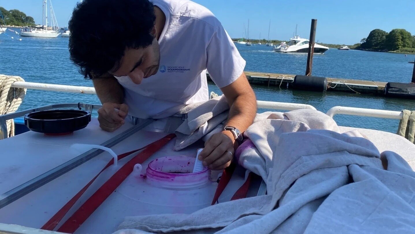 Petition · Support Basic Environmental Research in the Gulf of Maine ...