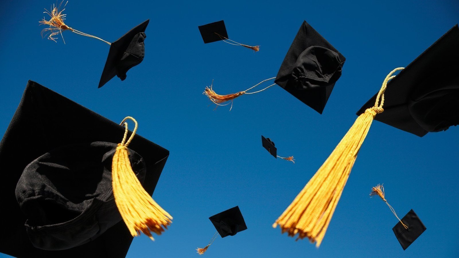 Petition · WE DESERVE GRADUATION AND COMPLETION CEREMONY - Philippines ...