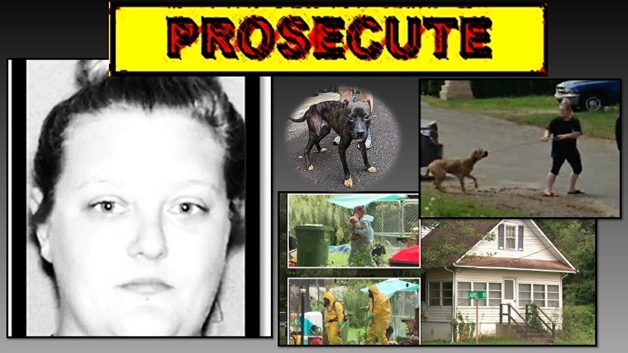 Petition · Justice for every foster dog tortured and killed by Rebecca ...